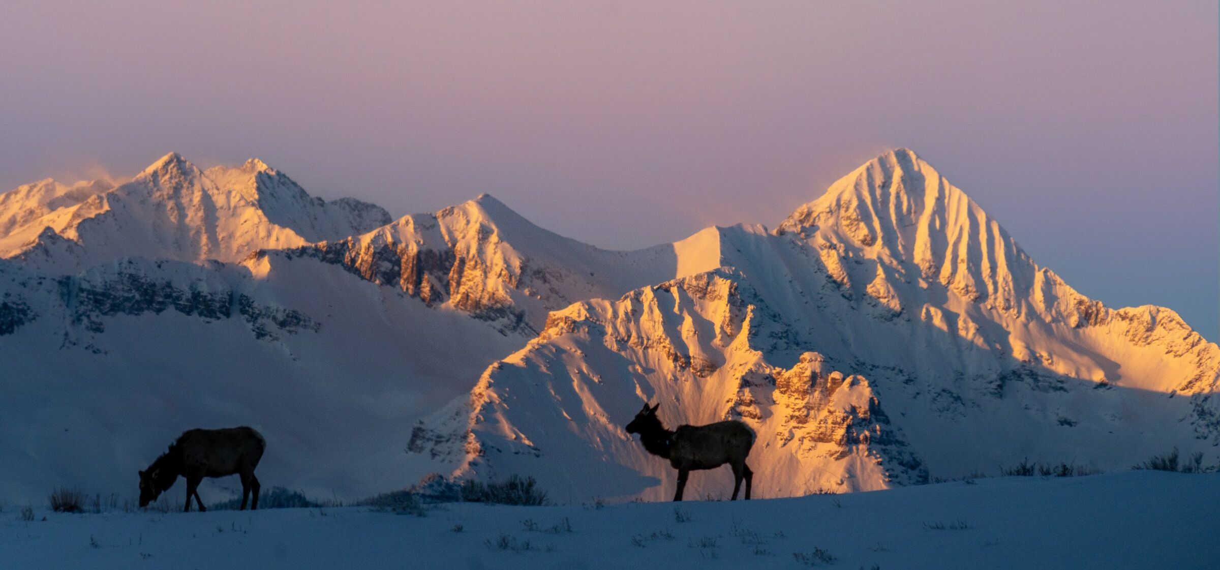 FAQs | Visit Telluride