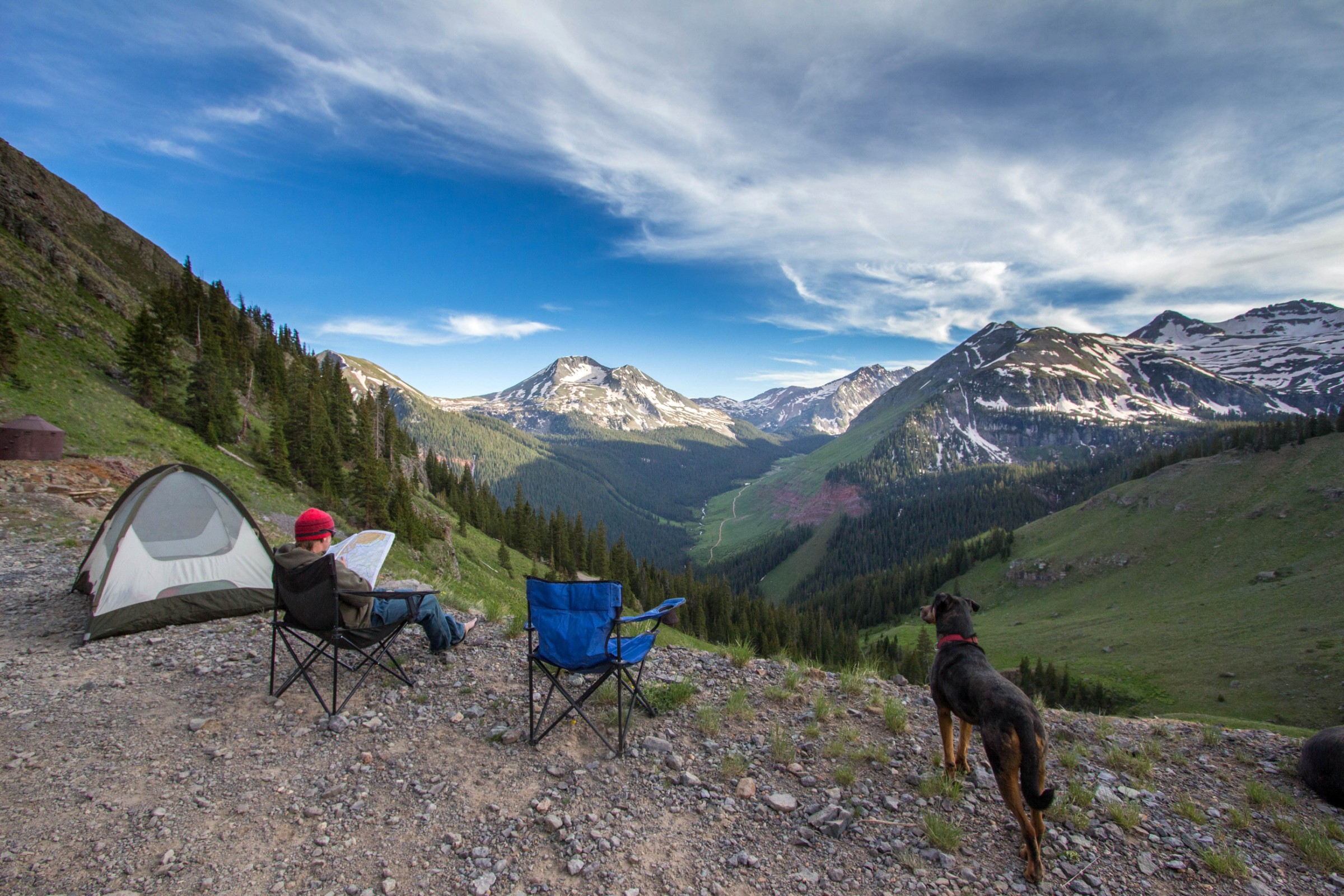 Bear Aware! | Visit Telluride