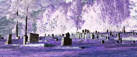 Lamplight Cemetery Tour | Visit Telluride