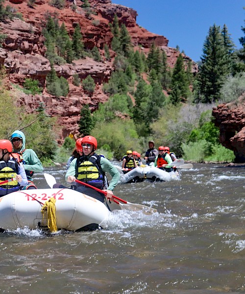 Destination Telluride | Visit Telluride