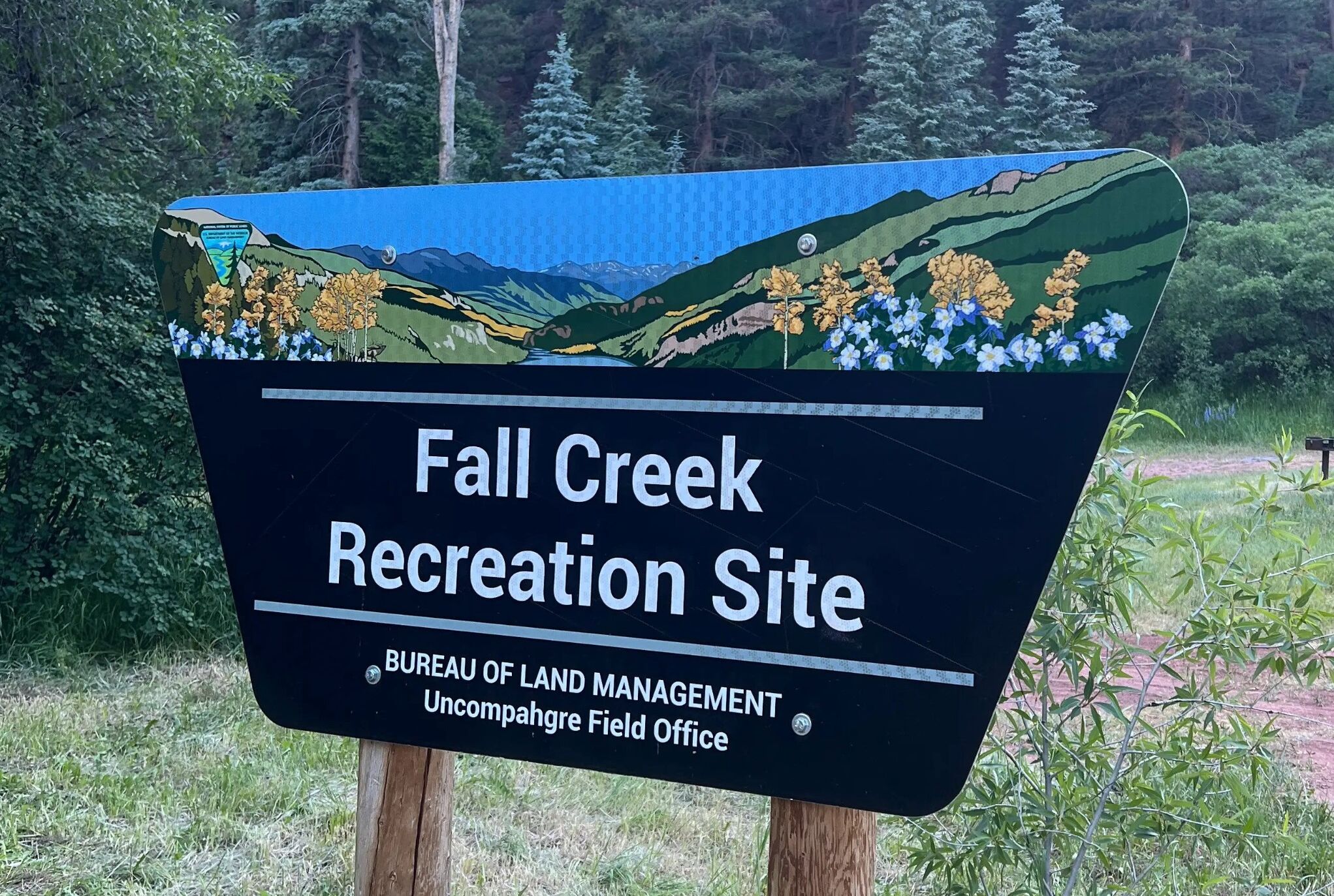 Fall Creek Recreation Area | Visit Telluride