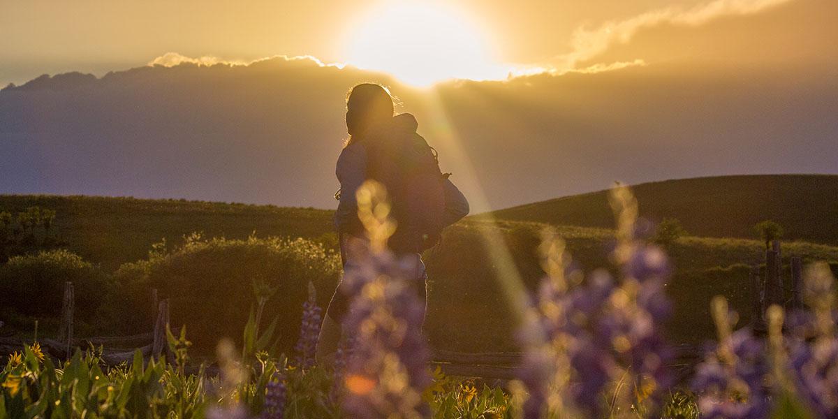 Wilson Mesa Trail | Visit Telluride