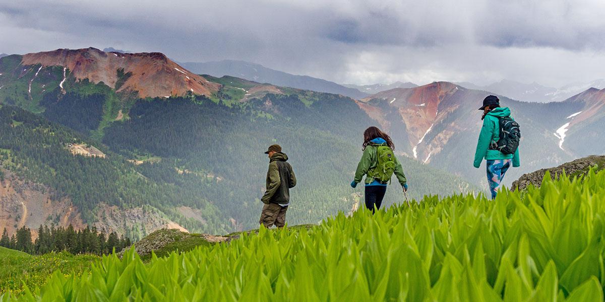 Wasatch Trail Loop | Visit Telluride