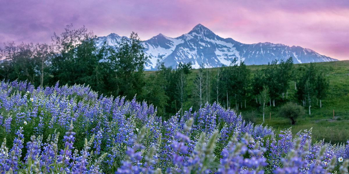 Village Trail | Visit Telluride