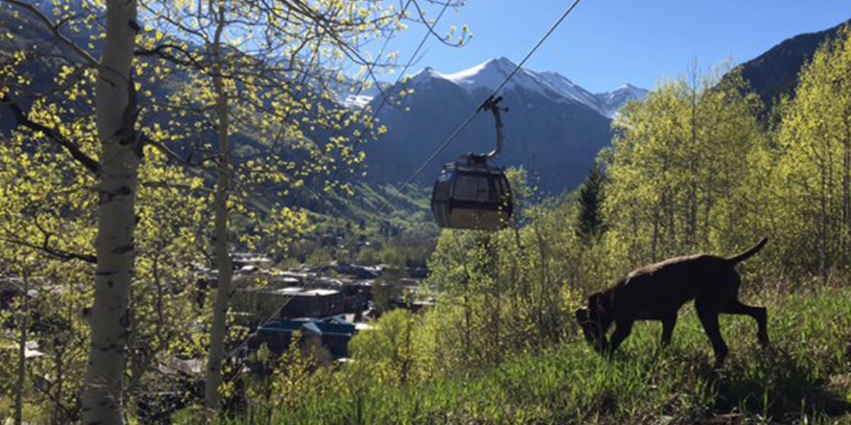 Telluride Trail | Visit Telluride