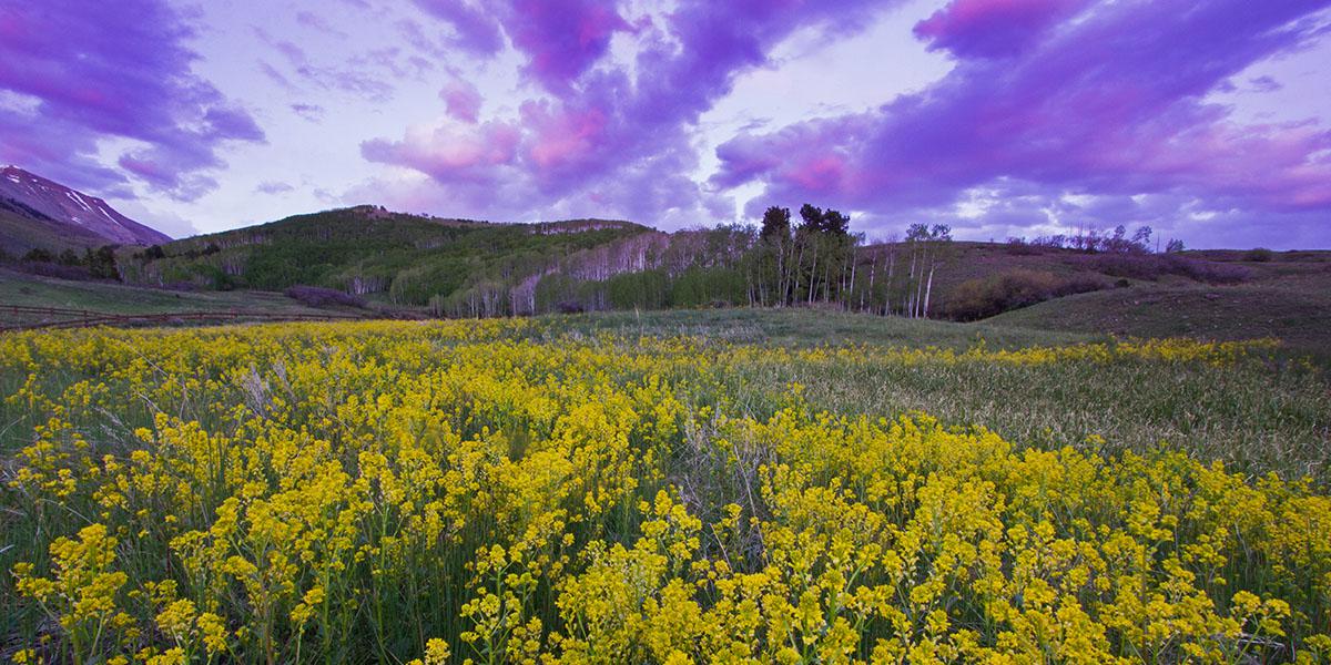 Lizard Head Trail | Visit Telluride